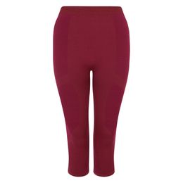 Dare 2b - "In The Zone II" 3/4 Leggings f&uuml;r Damen (Feige)