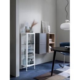 IKEA BAGGEBO Vitrine