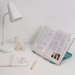 IKEA B&Ouml;NSYRSA Buchhalter