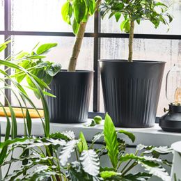 IKEA CITRONMELISS &Uuml;bertopf