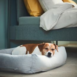 IKEA UTS&Aring;DD Hundebett
