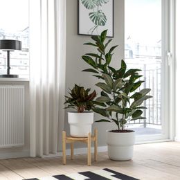 IKEA F&Ouml;RENLIG &Uuml;bertopf