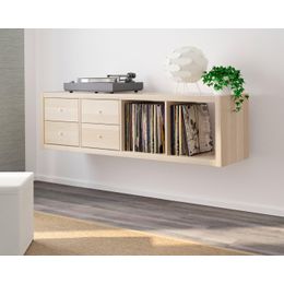 IKEA KALLAX Regal mit 2 Eins&auml;tzen