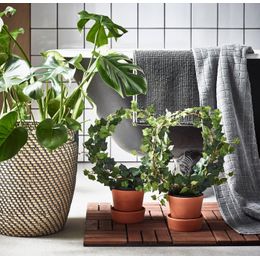 IKEA R&Aring;GKORN &Uuml;bertopf
