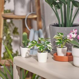 IKEA FEJKA Topfpflanze, k&uuml;nstlich/mit Topf