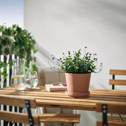 IKEA FEJKA Topfpflanze, k&uuml;nstlich