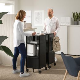 IKEA BEKANT Aufbewahrungselement mit Rollen