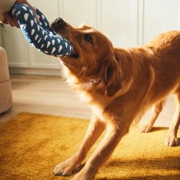 IKEA UTS&Aring;DD Stoffspielzeug f&uuml;r Hunde