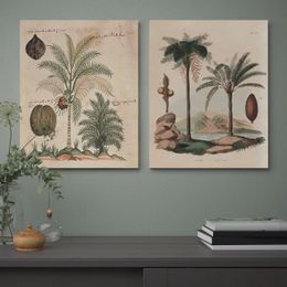 IKEA PJ&Auml;TTERYD Bild