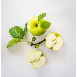 IKEA L&Ouml;VSKOGSLUND Duftkerze im Glas