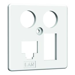 HOMEWAY HW-ZP EK4 LAN/TAE Zentral. 50mm rws HAXHSE-G0401-C024)