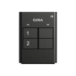 GIRA Funk Handsender 2fach anth 535210)