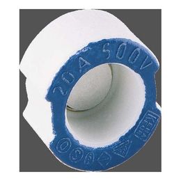 Siemens Indus.Sector D-Pass-Schraube DII/E27, 20A 5SH315)