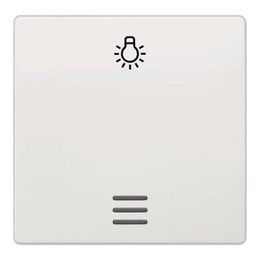 Siemens Indus.Sector Wippe m.Fenster Licht Delta Vita, tws 5TG6206)