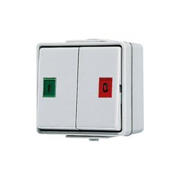 Jung Doppel-Taster 10AX 250V 2 Wechsler 639 W (639W)