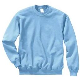 Sweatshirt Fruit of the Loom, Damen, Gr. 7, blau (hellblau), 80% Baumwolle, 20% Polyester, unifarben, Rundhals, Sweatshirts Sweatshirt