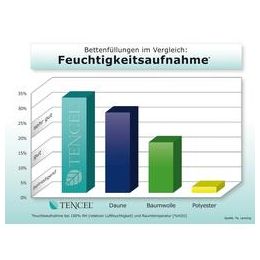 f.a.n. Naturfaserkopfkissen FAN "TENCEL/Leinen", beige (wei&szlig;), B:80cm L:80cm, Bezug: 50% Leinen, 50% Lyocell. F&uuml;llung: 100% Polyester, Kopfkissen, nat&uuml;rlich, k&uuml;hlendes Schlafklima
