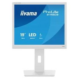 iiyama ProLite B1980S-W1 - LED-Monitor - 48 cm (19")