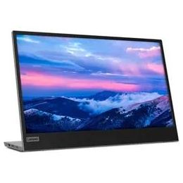 Lenovo L152 - LED-Monitor - Full HD (1080p) - 39.6 cm (15.6")
