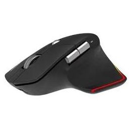 Acer Easy Fit - Maus - ergonomisch - optische LED - 6 Tasten - kabellos - kabelloser Empf&auml;nger (USB)