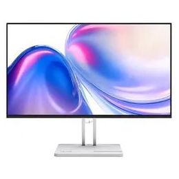 Lenovo L24-4C - LED-Monitor - 61 cm (24") (23.8" sichtbar)