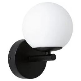 Paulmann LED Wandleuchte "Selection Bathroom Gove IP44 5W 3000K Satin, Glas/Metall", schwarz (schwarz, wei&szlig;), 1, H: 18,5cm, 1 Stk., Leuchten, LED Wandleuchte