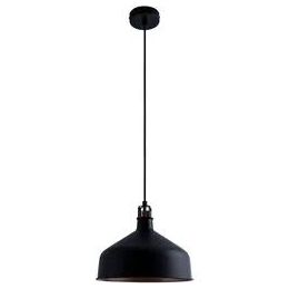 Paco Home Pendelleuchte "JAMES", schwarz, 1, &Oslash; 30cm H: 19,5cm, Leuchten, K&uuml;chenlampe H&auml;ngend H&auml;ngelampe Esszimmer Esstischlampe Industrial, Pendelleuchte