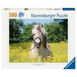 Puzzle Ravensburger "Pferd im Rapsfeld", bunt, Puzzles, KinderB:49cm H:36cm, Pappe, Made in Germany, B:49cm H:36cm