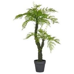 Kunstpflanze Creativ green "Baumfarn", gr&uuml;n, H:80cm, Kunststoff, Kunstpflanzen, Kunstpflanze, an Moosstamm