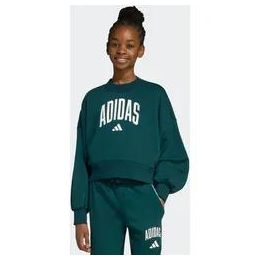 Sweatshirt Adidas SPORTSWEAR "SEASONALS ESSENTIALS COLLEGIATE TYPOGRAPHY CREWNECK KIDS", M&auml;dchen, Gr. 128, wei&szlig; (aurora ivy, wei&szlig;), Obermaterial: 70% Baumwolle, 30% Polyester, Rundhals, angesetztes B&uuml;ndchen, Sweatshirts Sweatshirt, sportlicher Stil, ohne Verschluss, mit Rundhalsausschnitt