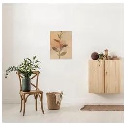 Leinwandbild Komar "Pressed Leaves - Gr&ouml;&szlig;e 30 x 40 cm", braun (farbe bild(er): braun, gelb), B:30cm, Holz, Papier, Bilder, Leinwandbild, Keilrahmenbild mi Echtholzrahmen