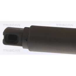 TRISCAN Gasfeder, Koffer-/Laderaum 871023301 f&uuml;r Mercedes