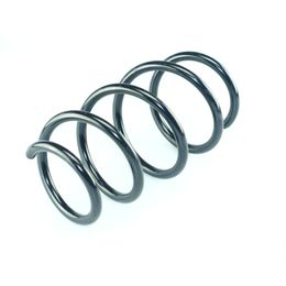 CS GERMANY Fahrwerksfeder 14950884 Vorderachse f&uuml;r Audi