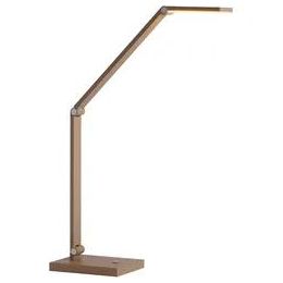 Paul Neuhaus LED Tischleuchte "SAMSKY", bronze, 1, H: 30cm, 1 Stk., Leuchten, Touchdimmer, CCT 2700-5000K, Memoryfunktion, H&ouml;henverstellbar, LED Tischleuchte