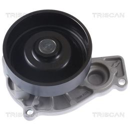 TRISCAN Wasserpumpe 860011049 f&uuml;r MINI