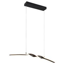 Trio REALITY LEUCHTEN LED Pendelleuchte "GINKO, H&auml;ngeleuchte LED 18W 1980 Lumen 3000K warmwei&szlig;", schwarz matt, 1, H: 150cm, 1 Stk., Leuchten, H&auml;ngelampe Esszimmer, h&ouml;henverstellbar bis max 150cm, Breite 79 cm, LED Pendelleuchte