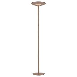 NEUHAUS PURE LED Stehlampe "PURE Moon", bronzefarben, 1, &Oslash; 32cm H: 180cm, 1 Stk., Leuchten, Stufenloses dimmen per Touchdimmer, Rauchglas, LED Stehlampe