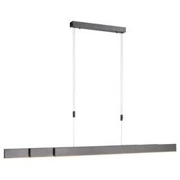 NEUHAUS PURE LED Pendelleuchte "PURE Moto", platinfarben, 3, H: 110cm, 1 Stk., Leuchten, e-SLIDE Funktion, CCT, dimmbar, Fernbedienung, LED Pendelleuchte