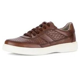 Sneaker PIUS Gabor, Herren, Gr. 9,5 (44), cognac used, Nappaleder, used, Schuhe Sneaker, Freizeitschuh, Halbschuh, Schn&uuml;rschuh im Used Look, Weite G