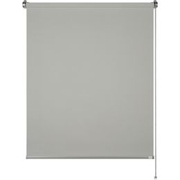 Sch&ouml;ner Wohnen Kollektion Seitenzugrollo "Tageslichtrollo Tizia", grau (hellgrau), B:60cm H:150cm, Polyester, SCH&Ouml;NER WOHNEN-KOLLEKTION, Rollos, Seitenzugrollo, geklebt, geklemmt, silberne oder wei&szlig;e Rollo-Technik