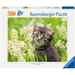 Puzzle Ravensburger "K&auml;tzchen in der Wiese", bunt, Puzzles, KinderB:49cm H:36cm, Pappe, Made in Germany, B:49cm H:36cm