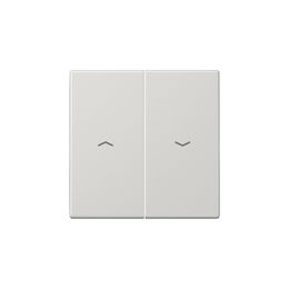 Jung Wippe Symbole lgr f&uuml;r Taster LS 995 P LG (LS995PLG)