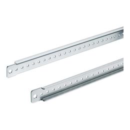 Rittal T&uuml;rstege m.Lochung 25mm Rast. TS 4309.000 (VE20) (4309000)