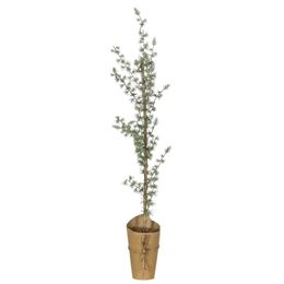 IB Laursen Kunstpflanze Zeder mit Papiertopf 75 cm, &Oslash; 15 cm, gr&uuml;n skandinavische Deko Online Shop
