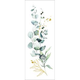 Pro Art Keilrahmenbild EUCALYPTUS