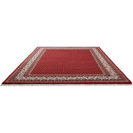 Theko Orientteppich &raquo;Chandi Mir&laquo; rechteckig 12 mm H&ouml;he reine Wolle, handgekn&uuml;pft, mit Fransen rot Schurwolle B : 70cm 1 Stk., 12mm, L: 140cm