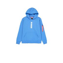Alpha Industries Alpha Puff Print Hoodie