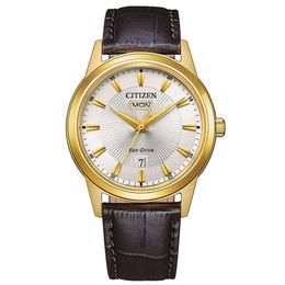 Citizen Braun Herren Armbanduhr AW0102-13AC