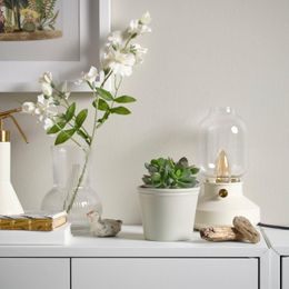 IKEA K&Ouml;RSB&Auml;RSBJ&Ouml;RK &Uuml;bertopf