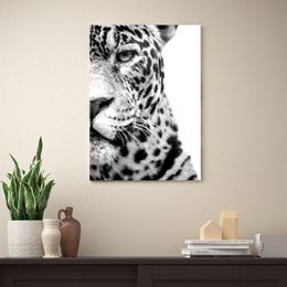 IKEA PJ&Auml;TTERYD Bild